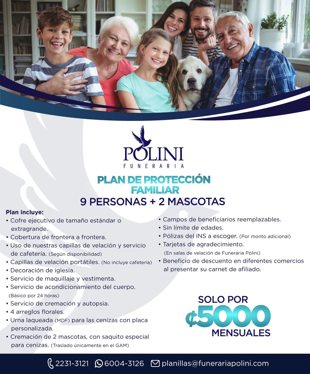 Polini :: asonumar.com